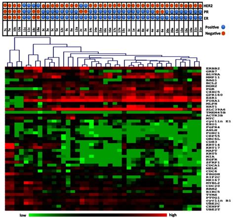 Heatmap Of Unsupervised Clustering Of All The Samples And All The
