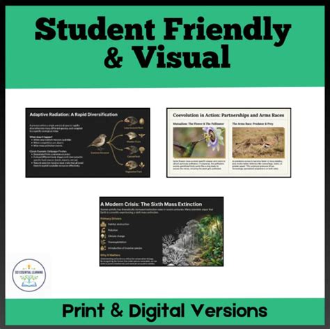 Patterns Of Evolution And Speciation Lesson Ngss Biology Tpt