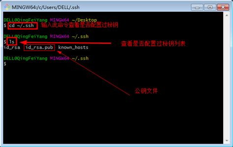 Git Ssh密钥创建和重置git本地仓库修改密钥 Csdn博客