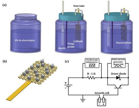 Hierarchical 3d Nanostructured Pb−in Sample Growth A Schematic Hierarchical 3d Nanostructured Pb−in Sample Growth A Schematic