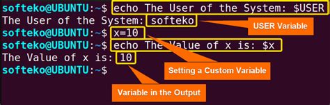 The Echo Command In Linux Practical Examples
