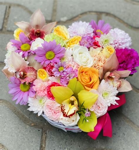 თაიგული Taiguli