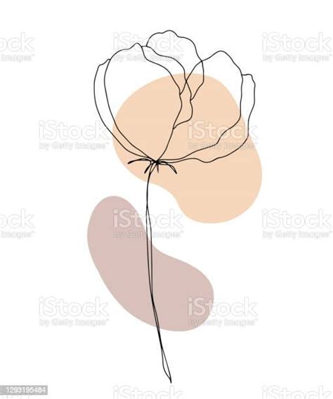 한 줄 드로잉 잉크 플라워가 있는 최소한의 카드 플로럴 아트 디자인 0명에 대한 스톡 벡터 아트 및 기타 이미지 0명 고풍
