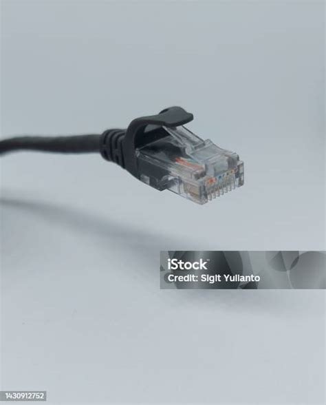흰색 배경에서 네트워크 연결을 위한 Utp 케이블 범주 6 0명에 대한 스톡 사진 및 기타 이미지 0명 Dsl Usb