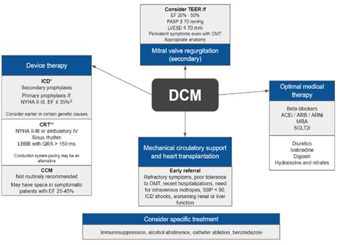 DCM Treatment In Patients With Life Expectancy Of At Least 1 Year Download Scientific