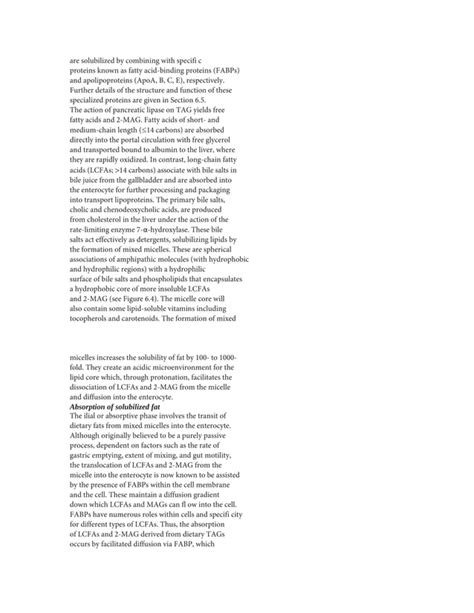 Digestion Of Lipid Rtf