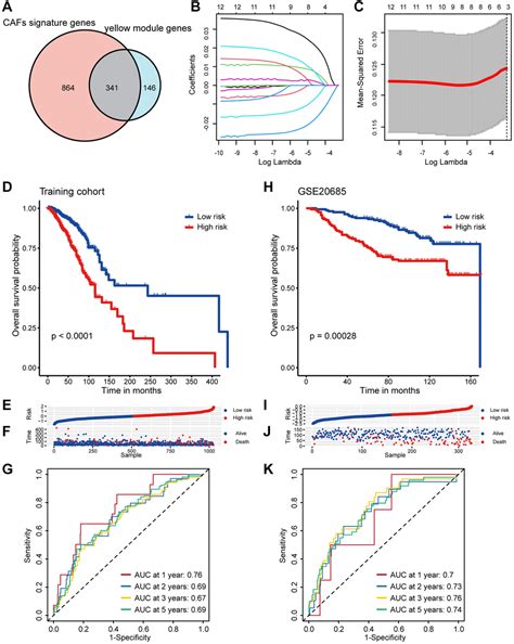 Cancer Associated Fibroblast Derived Gene Signature Discriminates