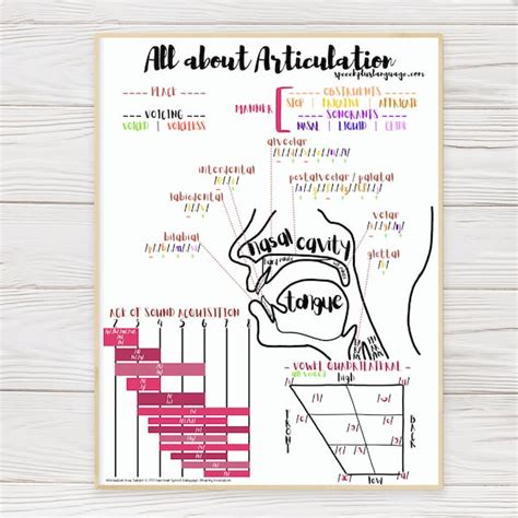 Slp Cheat Sheet Download Etsy