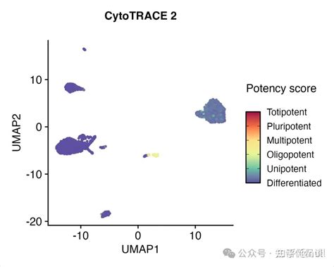 Cytotrace 2 预测细胞分化潜力 知乎