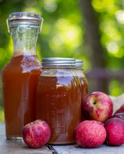 What Is The Difference Between Apple Cider And Sparkling Apple Cider