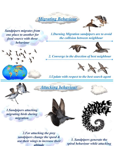 Sandpiper Optimization Algorithm Soa A New Approach To Solve