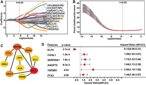 Construction Of The Prognostic Model Using The Tcga Dataset A The Download Scientific Diagram