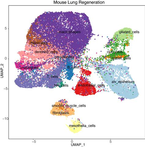 Scrna Seq Regeneration Roadmap