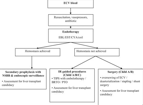 Suggested Algorithm For Management Of Ectopic Varices Brto Download Scientific Diagram
