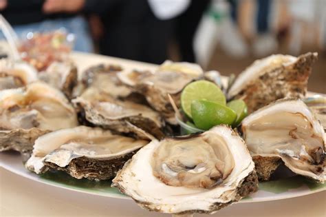 Elota Muestra Los Mejores Ostiones Del Mundo En La Tradicional Feria