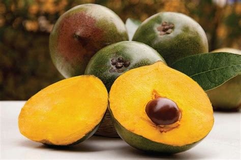 Top 5 Peruvian Dishes You Have To Try Journey Machu Picchu