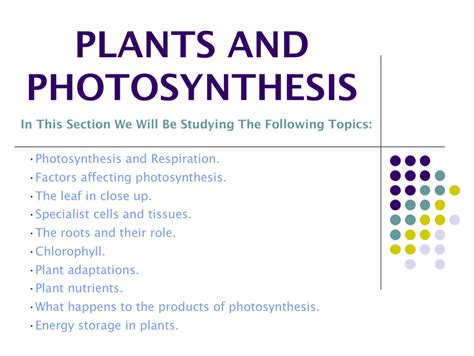 Plants And Photosynthesis Ks3 Powerpoint Year 9 Curriculum Press