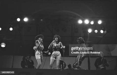1 853 June Pointer Photos And High Res Pictures Getty Images