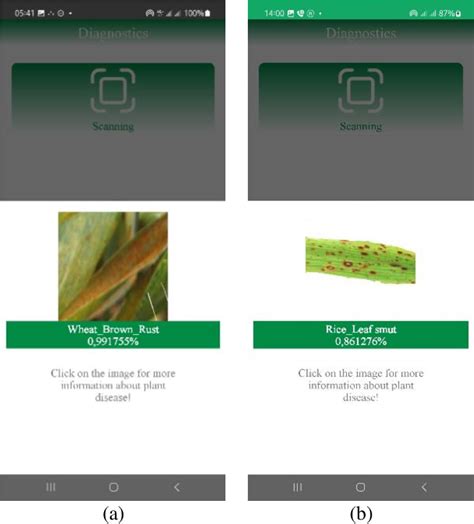 Figure 6 From Using Deep Learning Algorithms To Classify Crop Diseases