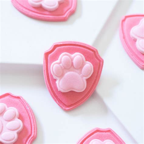 Paw Patrol Escudo 2 12 Unidades Sun