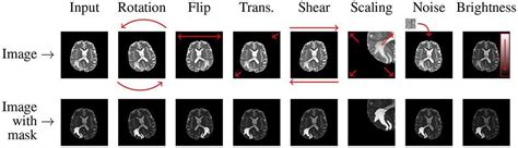 Osama Ammar Msc On Linkedin Computervision Machinelearning