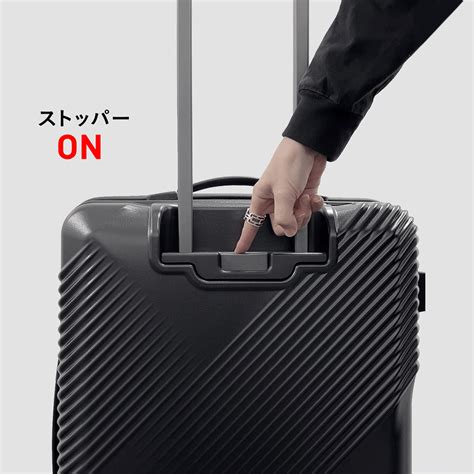 Cabin 機内持込サイズ Ace Luggage