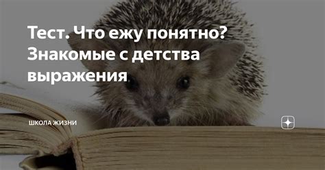 Тест. Что ежу понятно? Знакомые с детства выражения | Школа Жизни | Дзен