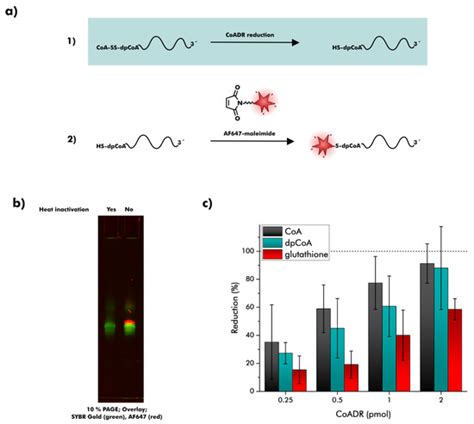 Non Coding RNA An Open Access Journal From MDPI