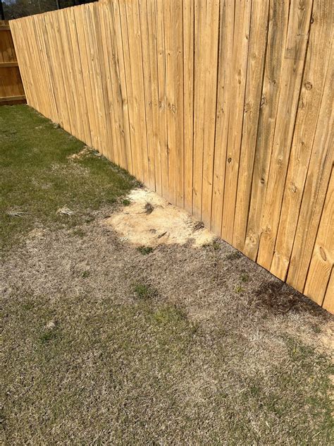 Grass Died Around Fence Post After Being Installed Rlawncare