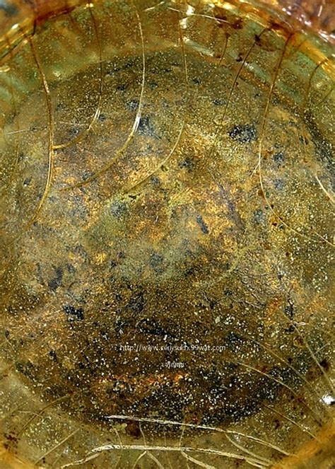 หลวงพ่อพระใส รุ่น พรนาคาธิบดี บารมีพระใส ปี 2566 เนื้อบรอนซ์ ชุบ 3 กษัตริย์ เจริญสุข