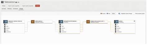 New Data Lineage Features In Oci Data Catalog