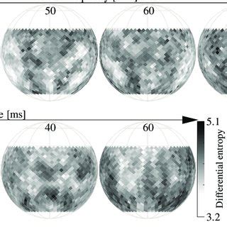 Examples Of Differential Entropy Estimates Taken Over The Dimensions Of Download Scientific