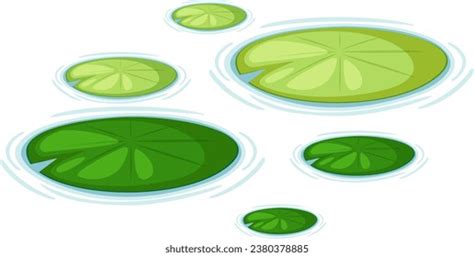 How To Draw Water Lily Pads