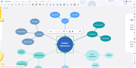 Mindmanager Review