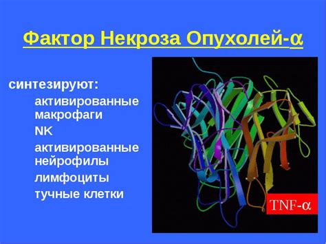 Цитокины. Обзор. - презентация, доклад, проект скачать