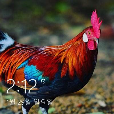 돌려먹기 BJ 입사 풋잡받기 추석연휴 함께 보 Tumbex