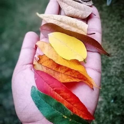 Alon Boy😔 Alonboy121212 • Threads Say More