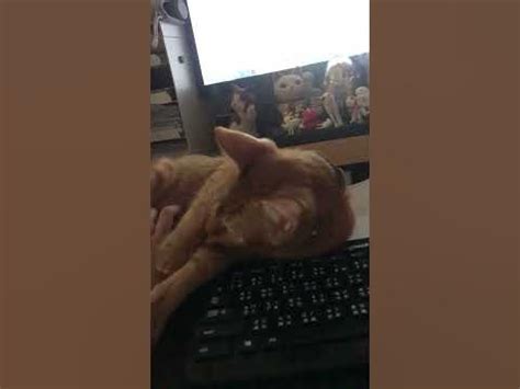 Why did you bite me?😭 - YouTube