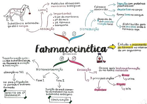 Mapa Mental Farmacocinética E Farmacodinâmica Braincp