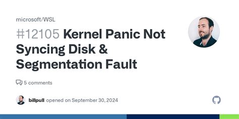 Kernel Panic Not Syncing Disk And Segmentation Fault · Issue 12105 · Microsoftwsl · Github