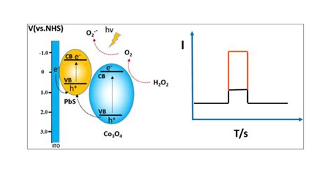 Photoelectrochemical Biosensor Based On Co3o4 Nanoenzyme Coupled With