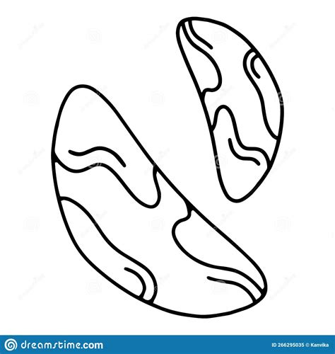 Brazil Nut In A Shell Simple Linear Cartoon Icon In Doodle Style Stock