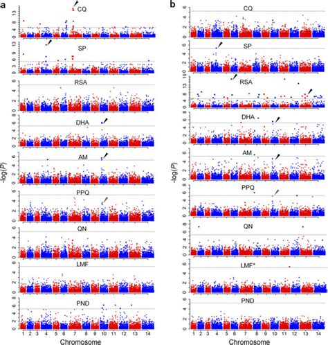 manhattan plots showing the significance of snp association in the