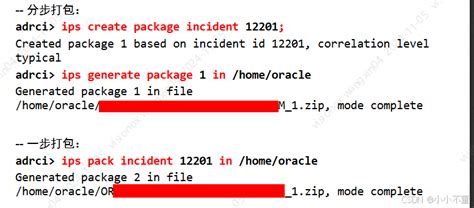 oracle故障诊断（一线dba必备技能）之adrci（五）：adrci综合应用 oracle adrci csdn博客