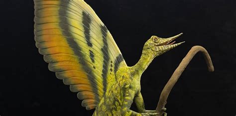 New Fossil Discovery Challenges Understanding Of Early Reptile Skin