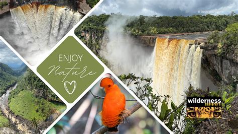 Discover Guyana Discover Guyana Added A New Photo