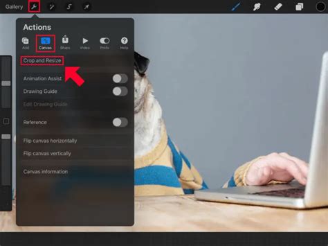 How To Resize An Image With Procreate Why Its A Hidden Feature Logos By Nick