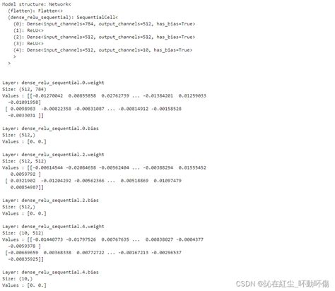 昇思25天学习打卡营第5天网络构建 Csdn博客