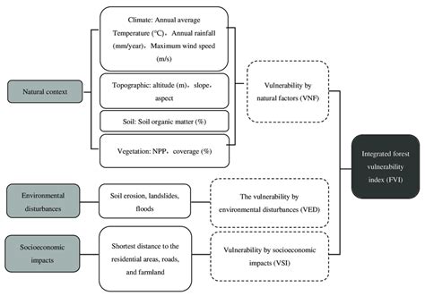 Schematic Representation Of The Forest Vulnerability Evaluation