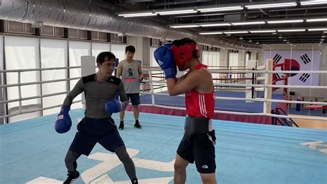 복싱 실전 복싱배우기 실업팀 스파링 영상 복싱 training sparring youtube